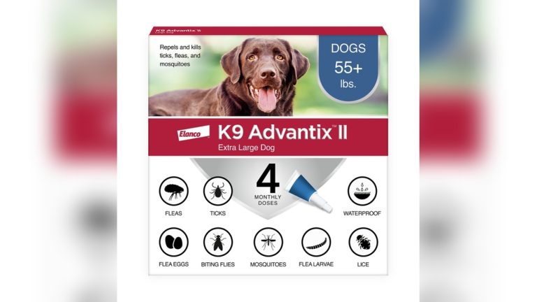 Does Petsmart Groom Dogs With Fleas? Truth Revealed! - Dogloversfinds