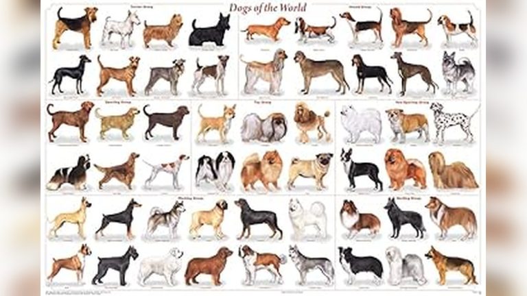 What are All the Dog Breeds: Ultimate Guide to Canine Varieties ...