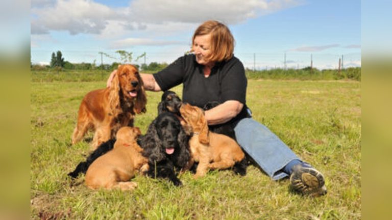 What is a Dog Breeder: Key Facts Every Pet Owner Should Know ...